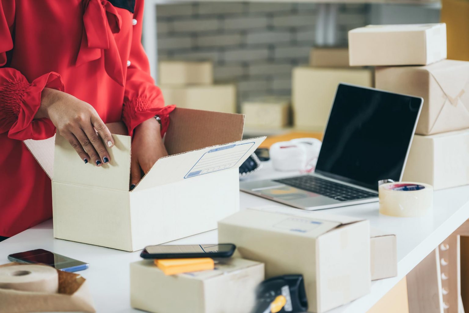 Fiction & Non-fiction Print Books for Schools & Libraries - Mackin