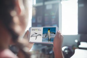 Digital Resources for Schools & Libraries - Mackin