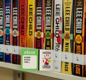 eBook Shelf Markers: Free Customizable Templates