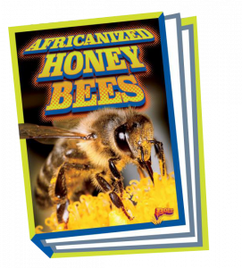 Black Rabbit Books - Mackin