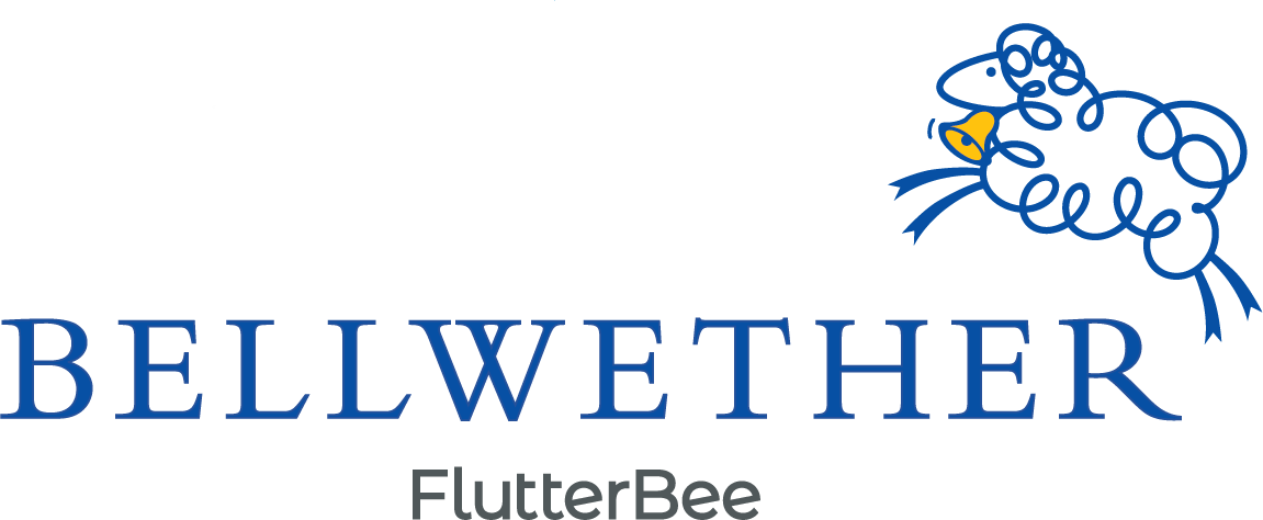 Bellwether Media: Engaging Nonfiction for Young Readers